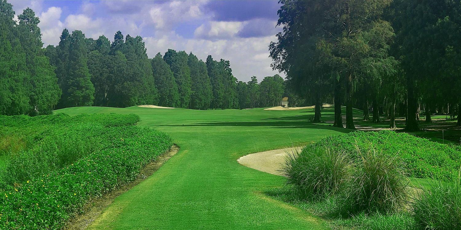 Carrollwood Country Club By David Theoret