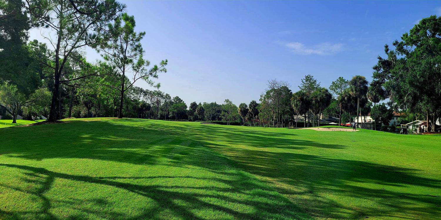 Carrollwood Country Club By David Theoret
